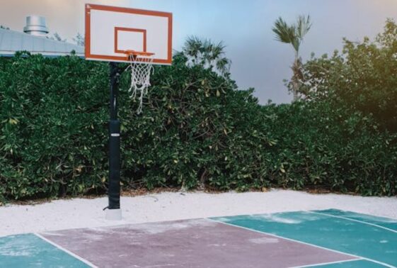 20 of the Most Amazing Home Basketball Courts