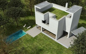 20 Amazing Homes with Grass Roof Designs