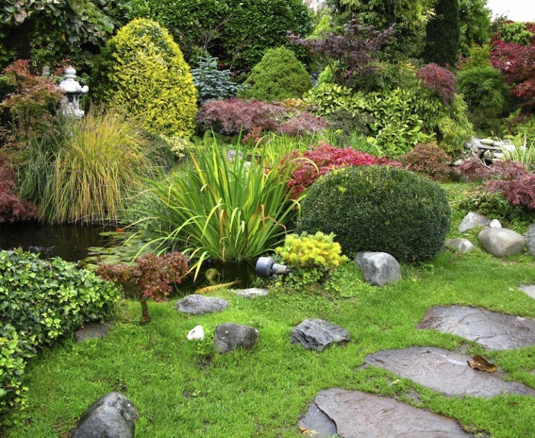 20 Gorgeous Plant Garden Ideas for Your Backyard - Housely
