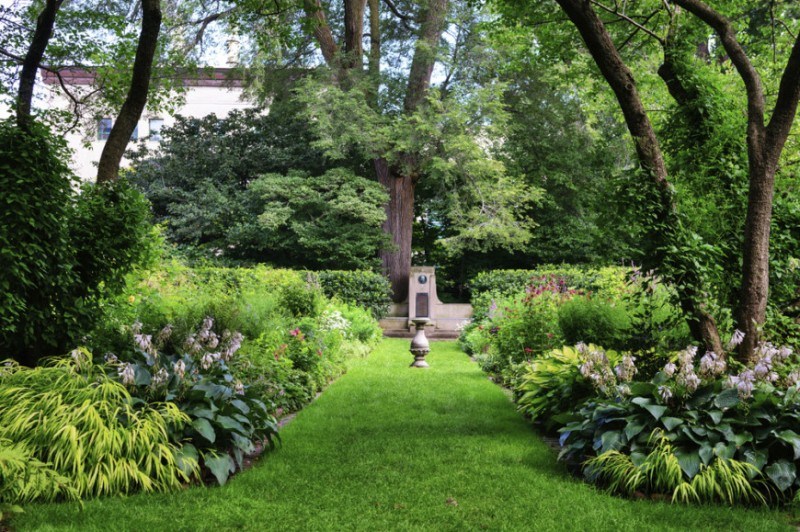 20 Gorgeous Plant Garden Ideas for Your Backyard - Housely