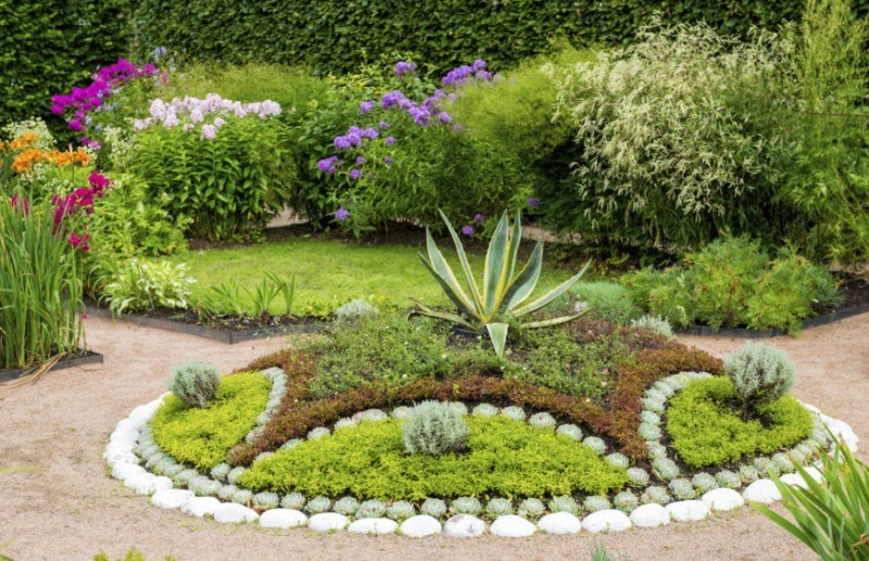20 Gorgeous Plant Garden Ideas for Your Backyard - Housely