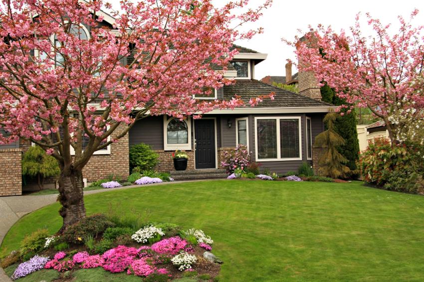 20 Perfect Front Yard Landscaping Ideas For Spring
