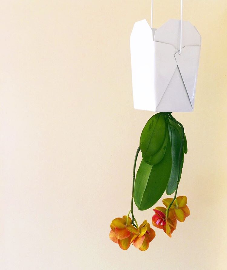 10 of the Most Amazing Designs from NYC Design Week 2016