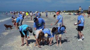 Sanibel Island Guide: What It's Known For & Things To Do