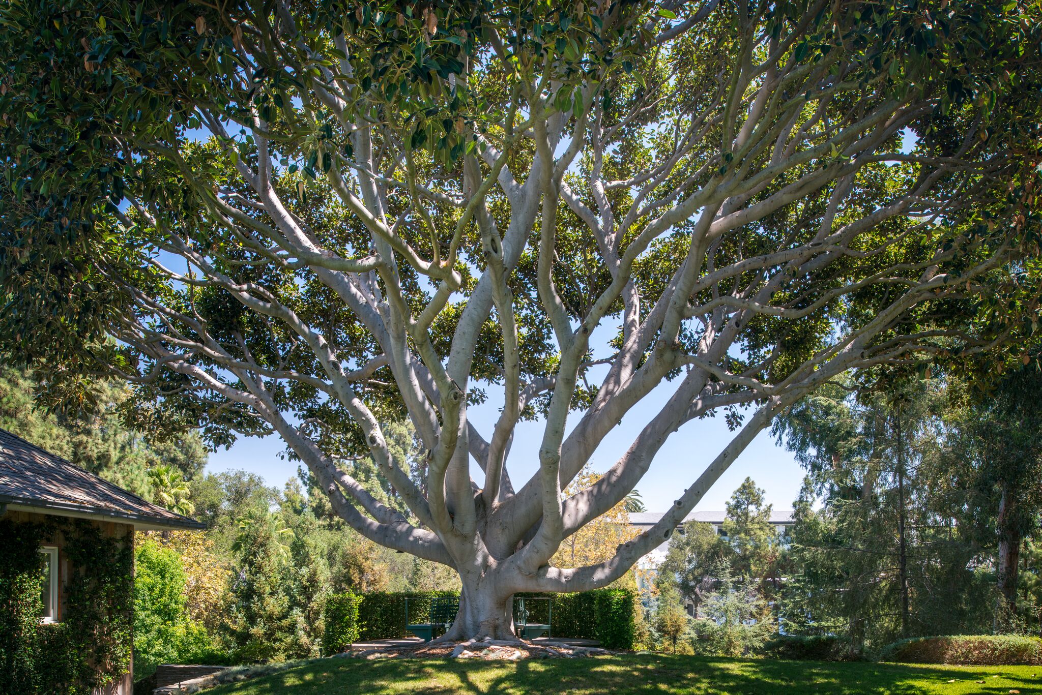 Estate of Legendary Hollywood Hostess Edie Goetz listed at $79M
