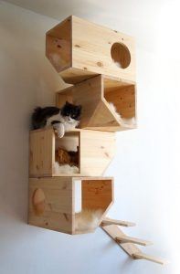20 Creative Cat Houses Your Pets Will Love