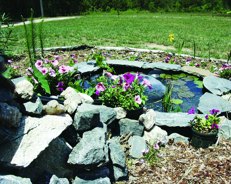 20 Of The Most Beautiful Garden Ideas With Ponds