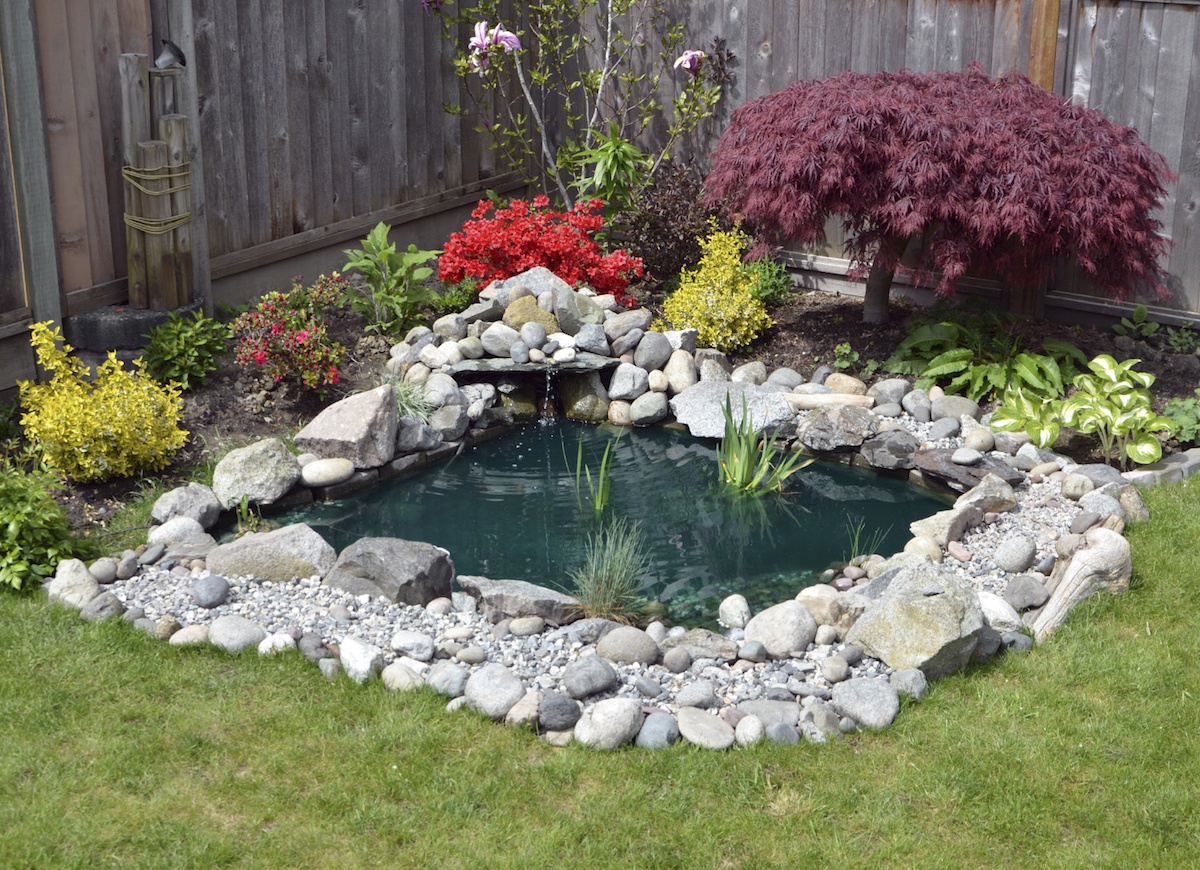 20 Of The Most Beautiful Garden Ideas With Ponds