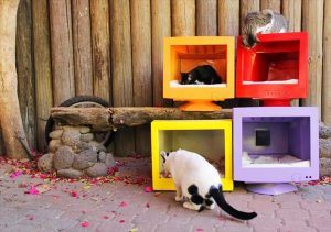 20 Creative Cat Houses Your Pets Will Love