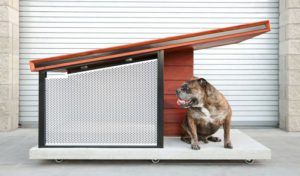 15 Cool Dog Houses For Your Furry Friend - Housely