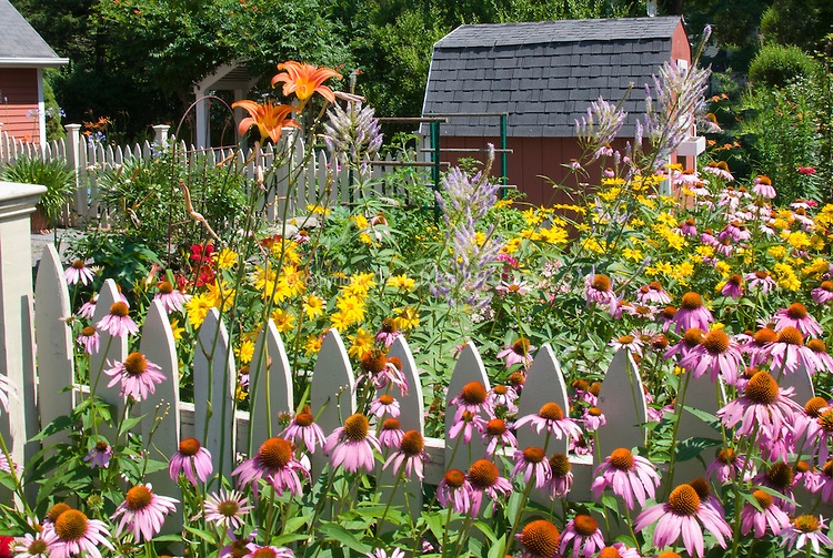 15 Beautiful Summer Inspired Garden Ideas - Housely