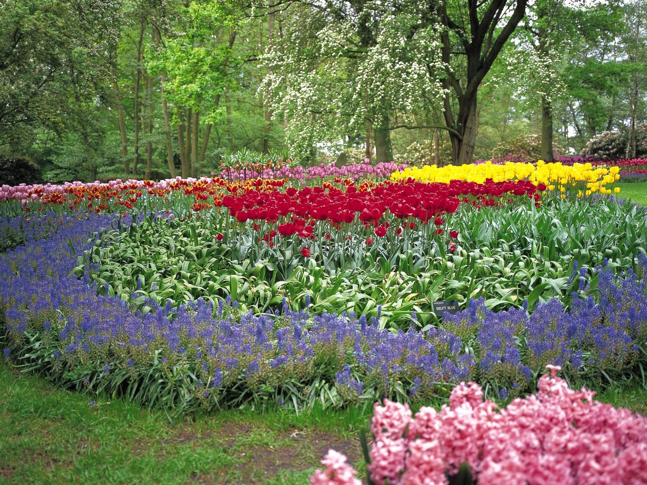 15 Beautiful Summer Inspired Garden Ideas - Housely