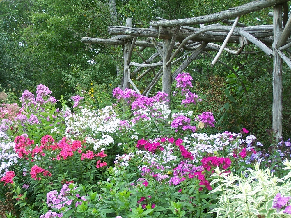 15 Beautiful Summer Inspired Garden Ideas - Housely