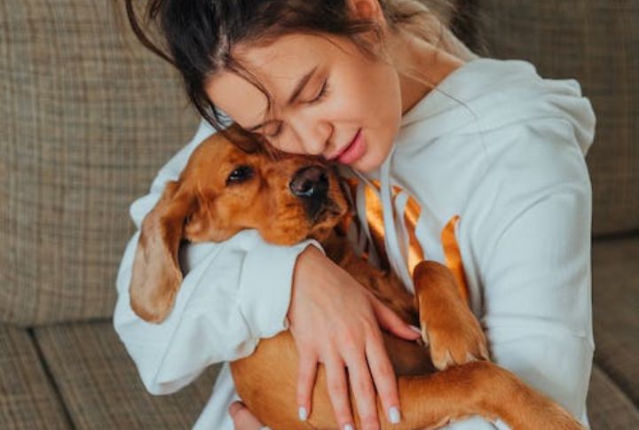 15 Most Lovable Dog Breeds in the World - Housely