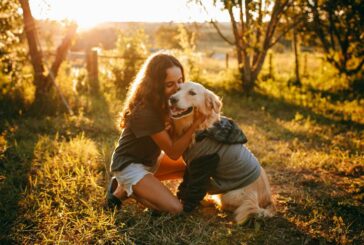 15 Most Affectionate Dog Breeds That Love Cuddles - Housely