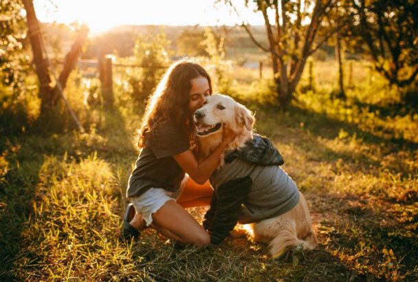 15 Most Affectionate Dog Breeds That Love Cuddles - Housely