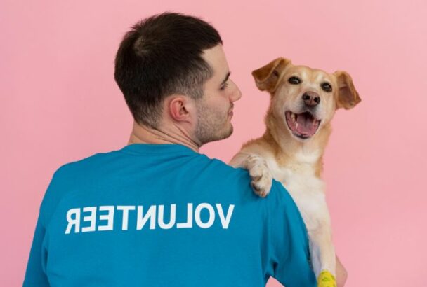 15 Benefits of Buying from a Responsible Dog Breeder - Housely