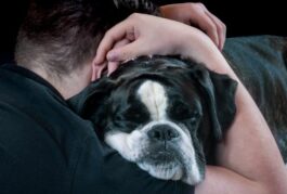 15 Most Affectionate Dog Breeds That Love Cuddles - Housely