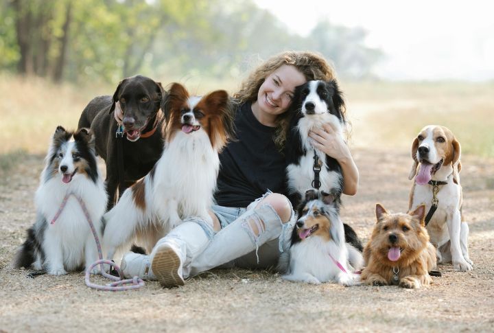 15 Most Affectionate Dog Breeds That Love Cuddles - Housely