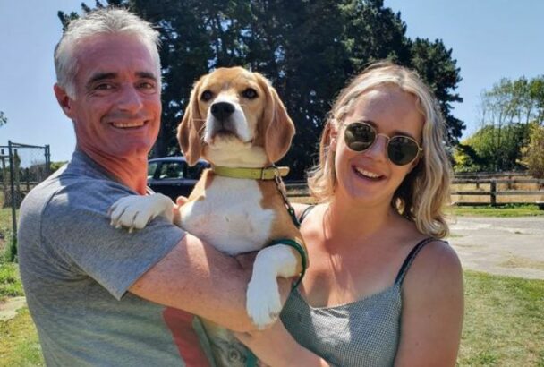 Top 15 Safest Family Dog Breeds - Housely