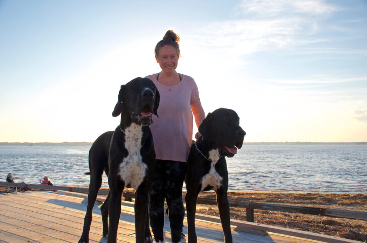 The 15 Tallest Dog Breeds In The World - Housely