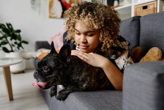 The 15 Best Animals For Emotional Support - Housely