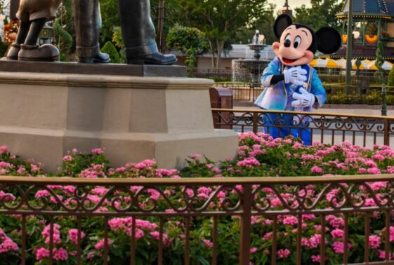 15 Insider Facts About Disney World - Housely