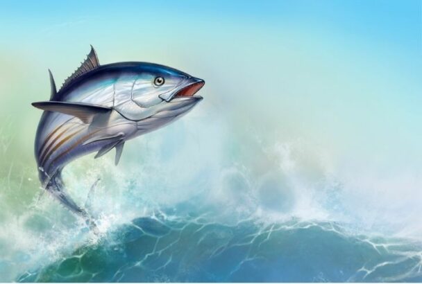 The 15 Exotic Varieties of Tuna - Housely