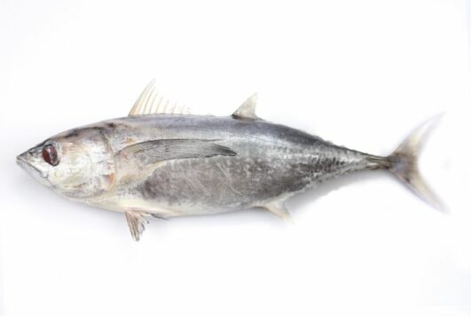 The 15 Exotic Varieties of Tuna - Housely
