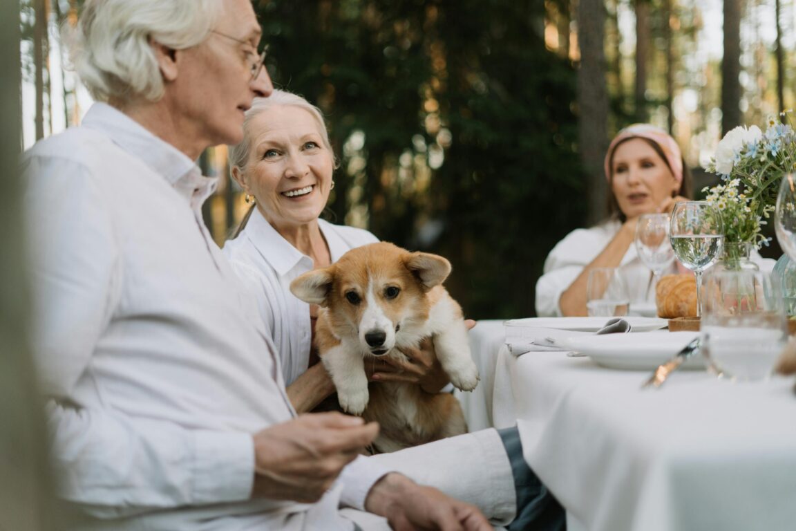 19 Loyal Dog Breeds That Will Never Leave You - Housely