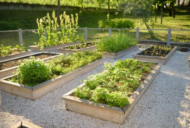 15 Creative Vegetable Garden Ideas to Kickstart Your Homegrown Journey ...
