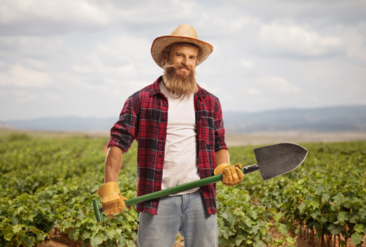 15 Southern American Stereotypes That Don't Hold Up - Housely