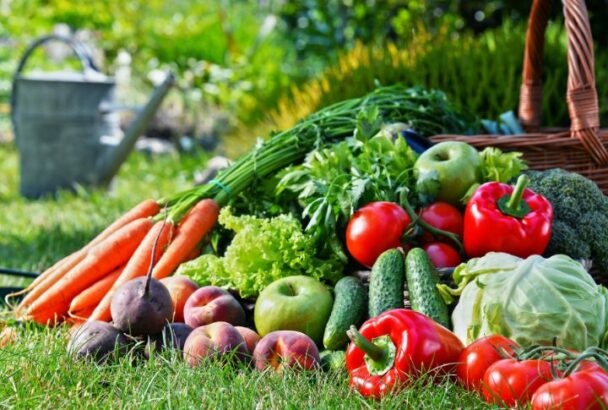 15 Vegetables Anyone Can Grow in Their Garden - Housely