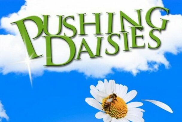 15 Canceled TV Shows That Deserve a Comeback - Housely