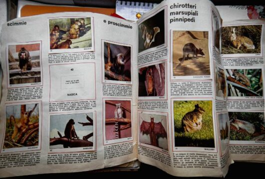 15 Fading '70s Childhood Pastimes - Housely
