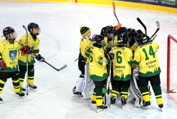 15 of the Most Expensive Kids' Sports - Housely