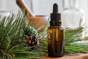 13 Scents That Instantly Repel Bears - Housely