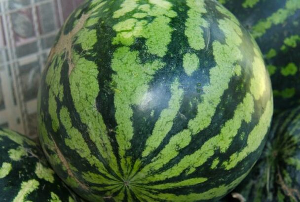 15 Tips for Picking the Perfect Watermelon - Housely