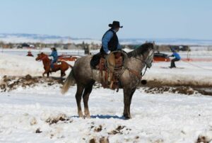 15 American States Still Keeping the Cowboy Culture Alive - Housely