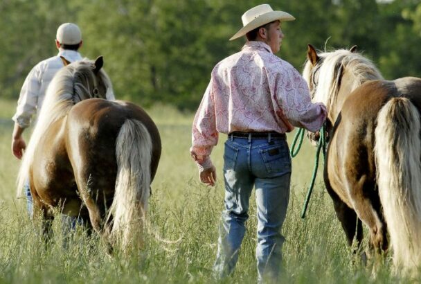 15 American States Still Keeping the Cowboy Culture Alive - Housely