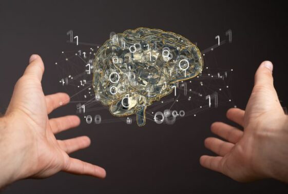 15 Mind-Blowing Facts About the Human Brain - Housely