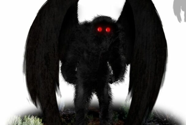 Unraveling the Mystery of Point Pleasant and the Bridge Collapse - Housely