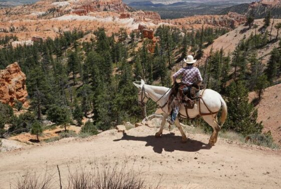 15 Wild West Facts That Are Actually Myths - Housely