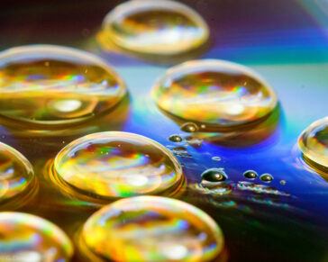 20 Surprising Things That Contain Animal Products - Housely