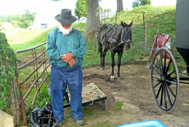 15 Amish Ways to Manage Your Money Wisely - Housely
