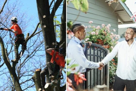 Tree Trouble? 15 Ways To Resolve Disputes With Neighbors - Housely