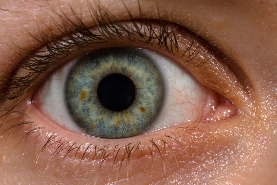 15 Surprising Facts About The Human Body - Housely