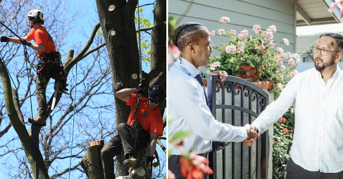 Tree Trouble? 15 Ways To Resolve Disputes With Neighbors - Housely