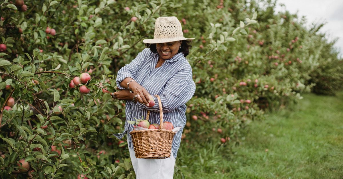 15 Easy-to-Grow Fruit Trees That Bring Juicy Rewards to Your Home ...