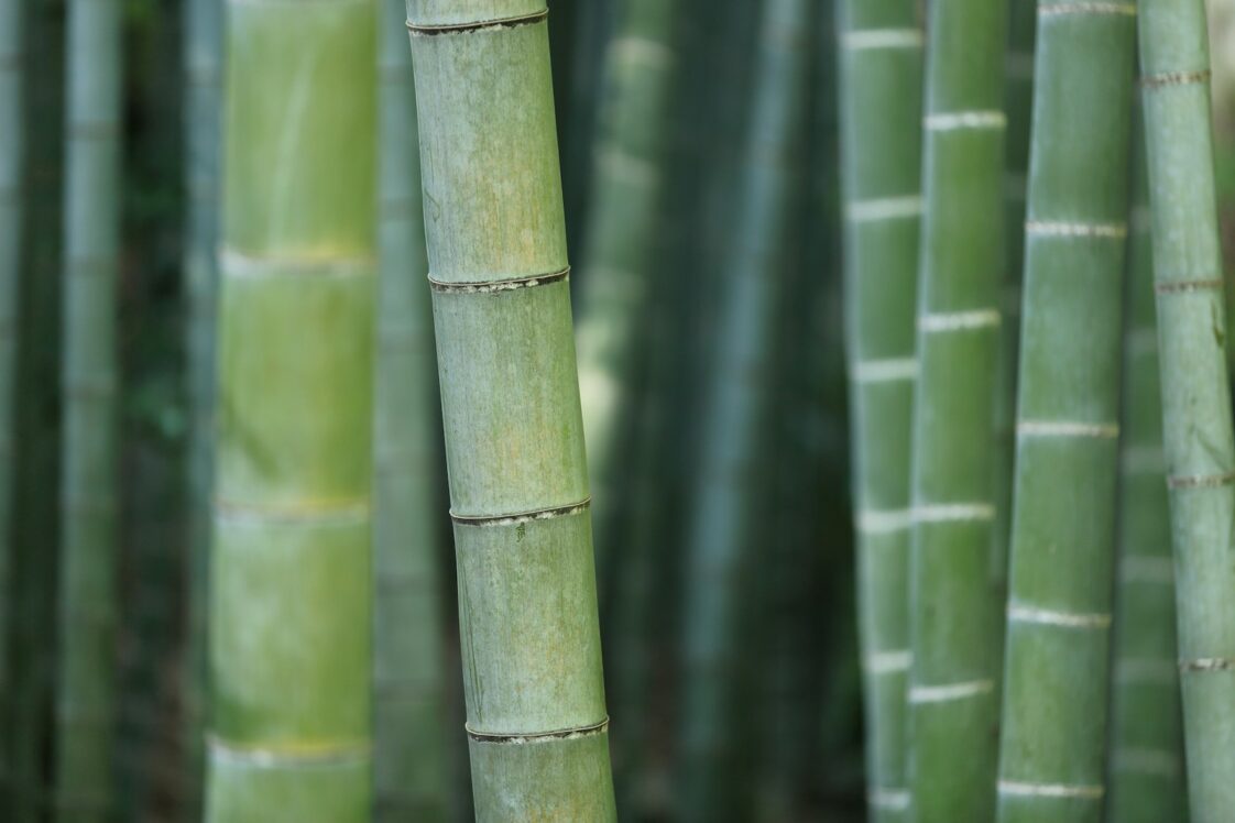 15 Interesting Facts About Nature That Are Lit - Housely